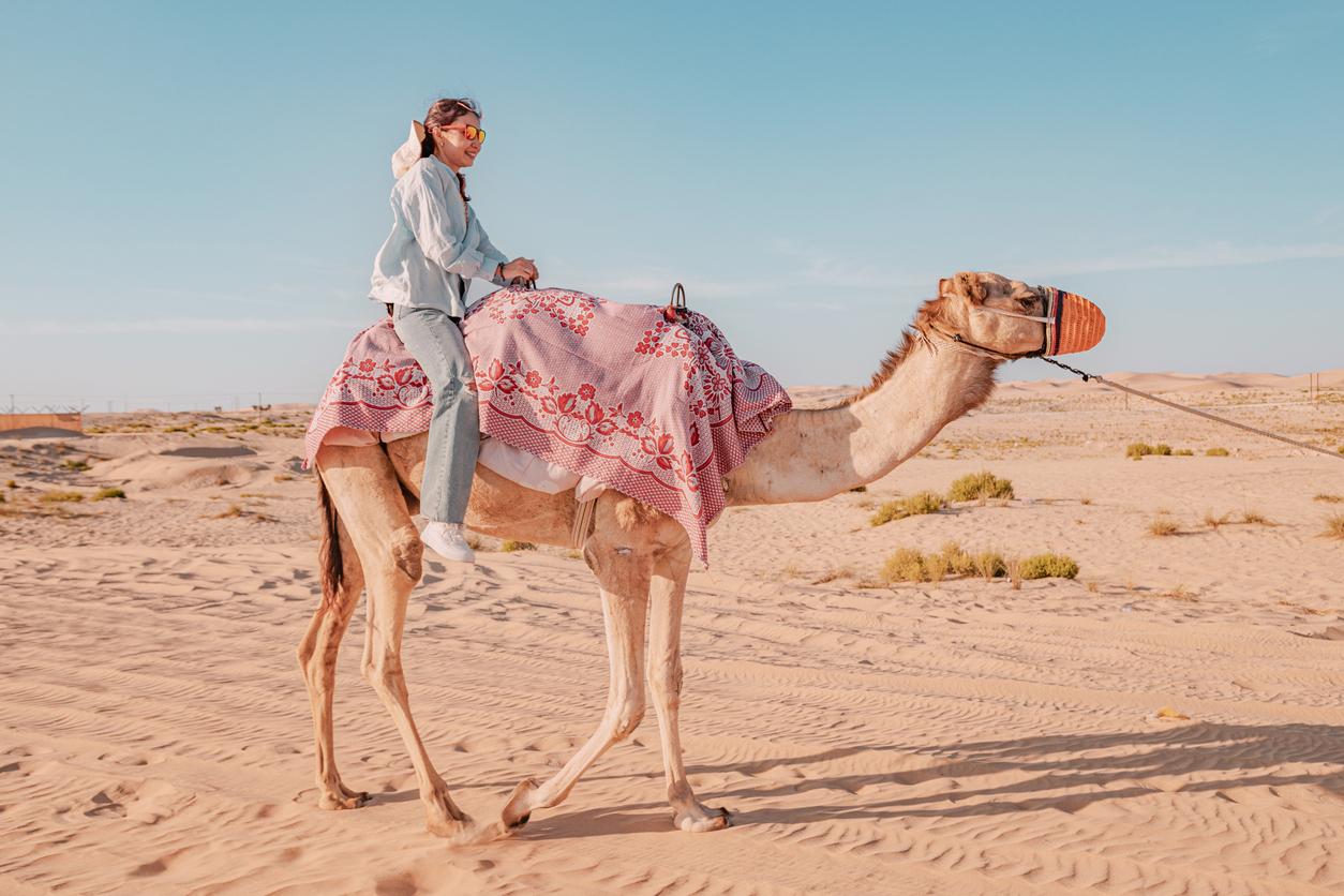 Dubai Desert Day Tour with Private Visit to Wadi Shawka Pool | TourBeez