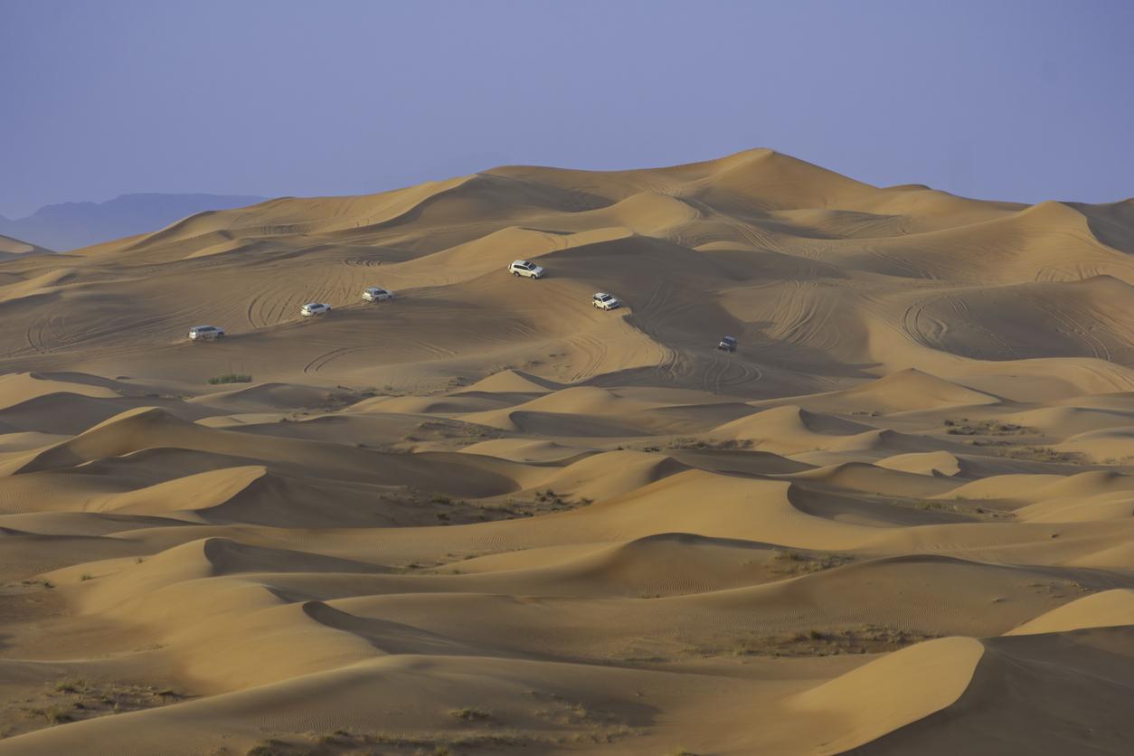 Dubai Desert Day Tour with Private Visit to Wadi Shawka Pool | TourBeez