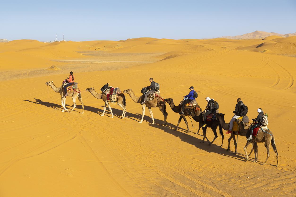Dubai Desert Day Tour with Private Visit to Wadi Shawka Pool | TourBeez