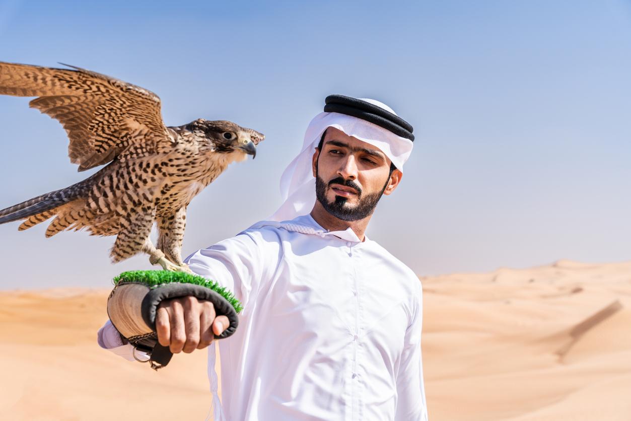 Dubai Falconry Experience – Private Tour | TourBeez