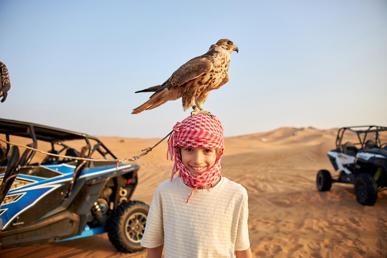 Dubai Falconry Experience – Private Tour | TourBeez