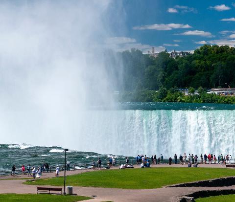 Best Value Milton to Niagara Falls Day Tour - Book Now | TourBeez
