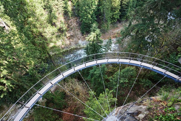 Capilano Suspension Bridge Park Ticket Vancouver | Tourbeez