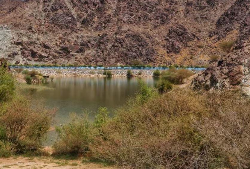 Dubai Desert Day Tour with Private Visit to Wadi Shawka Pool | TourBeez